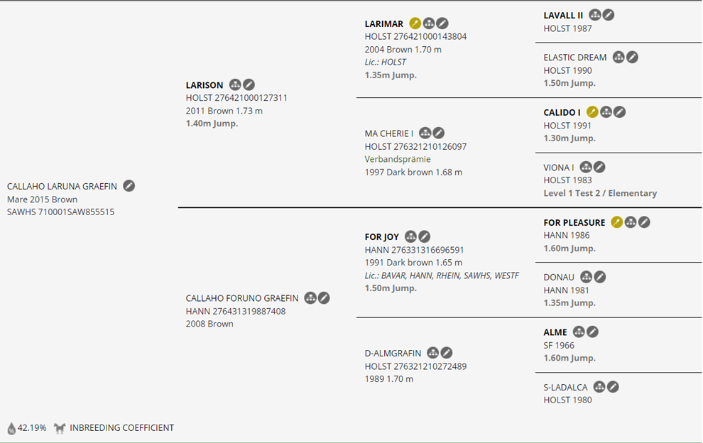 Show Jumping South Africa - SASJ