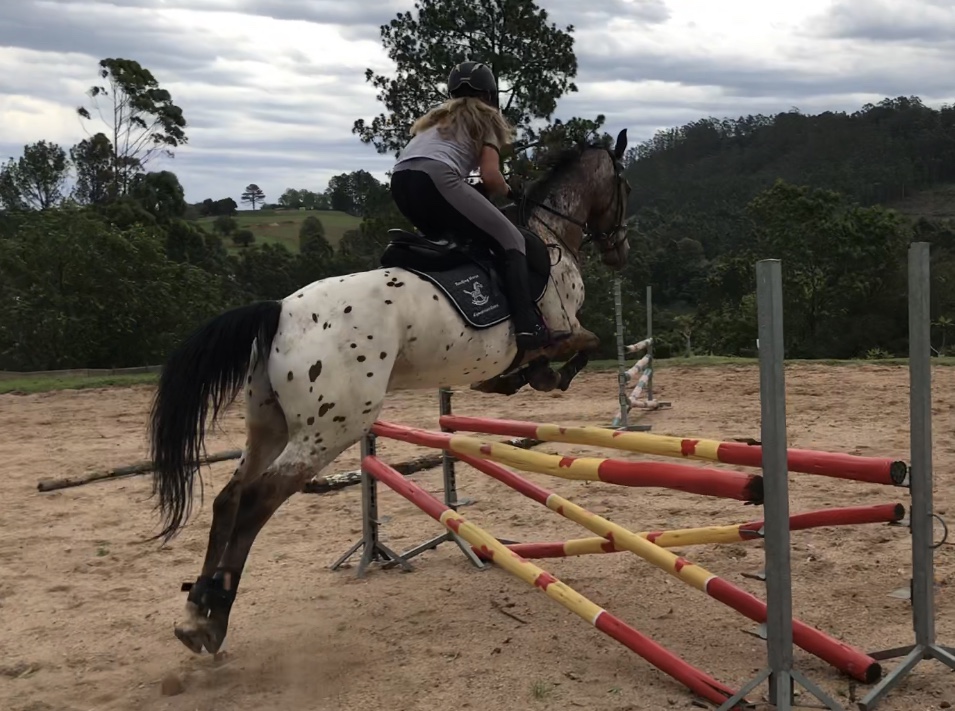 Show Jumping South Africa - SASJ