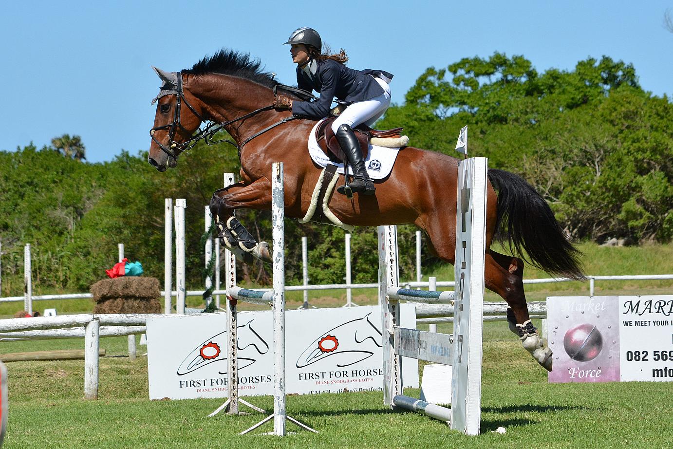 Standardbred Horse Jumping