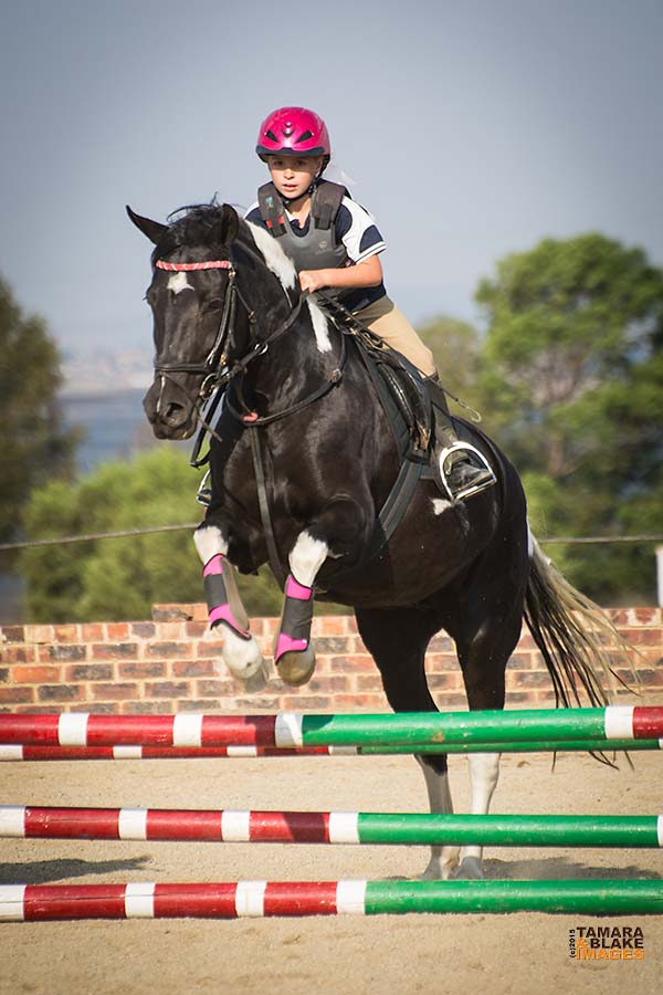 South African Show Jumping